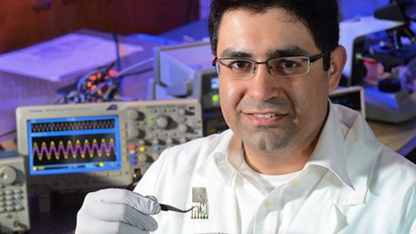 تطوير تقنية لتدمير الهواتف وبطاقات الإئتمان عن بعد حال سرقتها | الشرقية ...